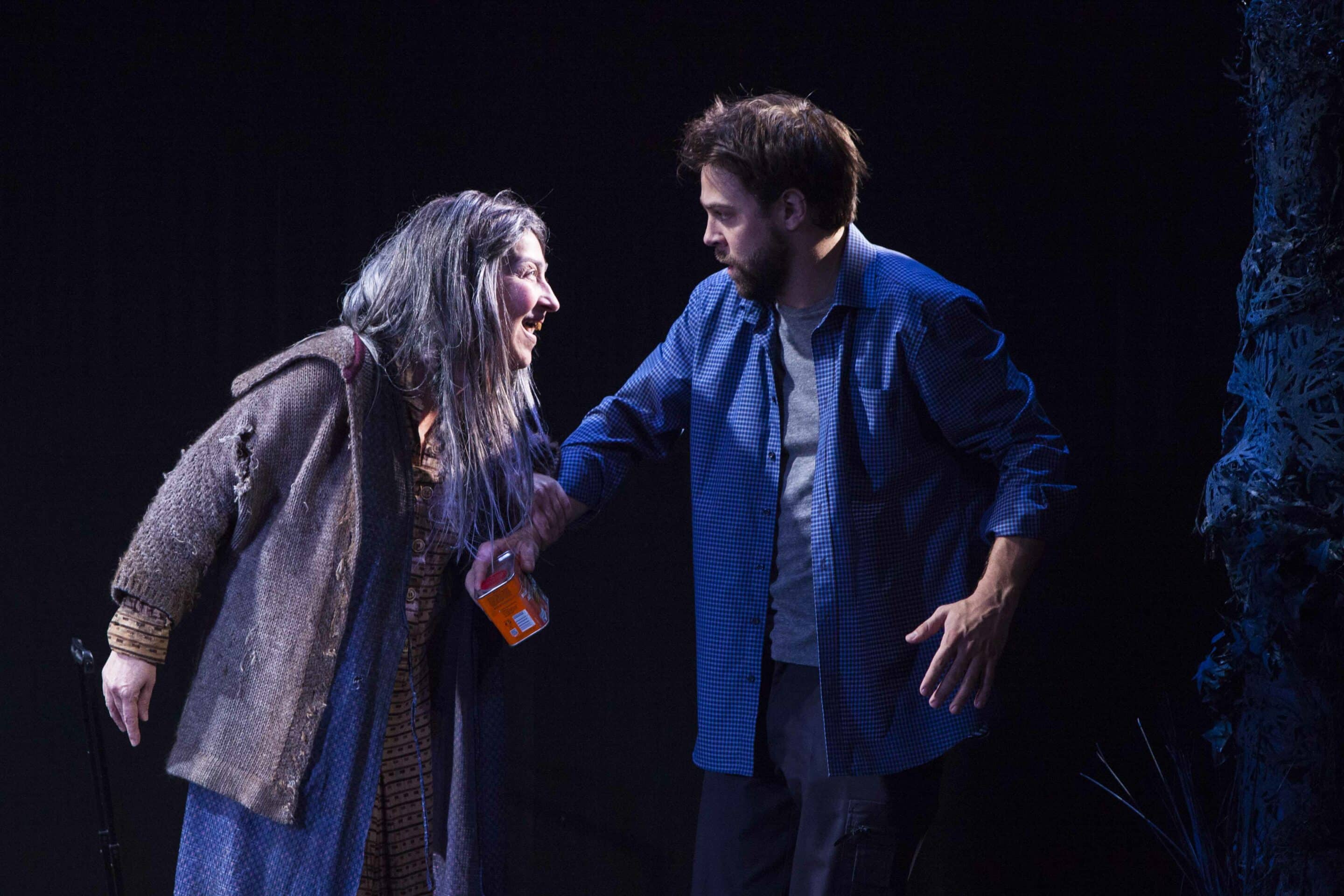 Théâtre du Palais-Royal – "La dame blanche" un thriller au théâtre